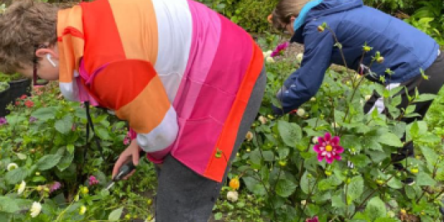Autism Awareness & Gardening Training | Trellis